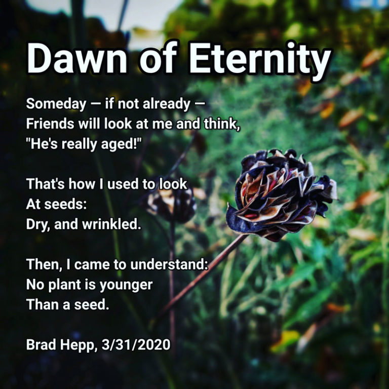 Dawn of Eternity - Brad Hepp's Miscellany