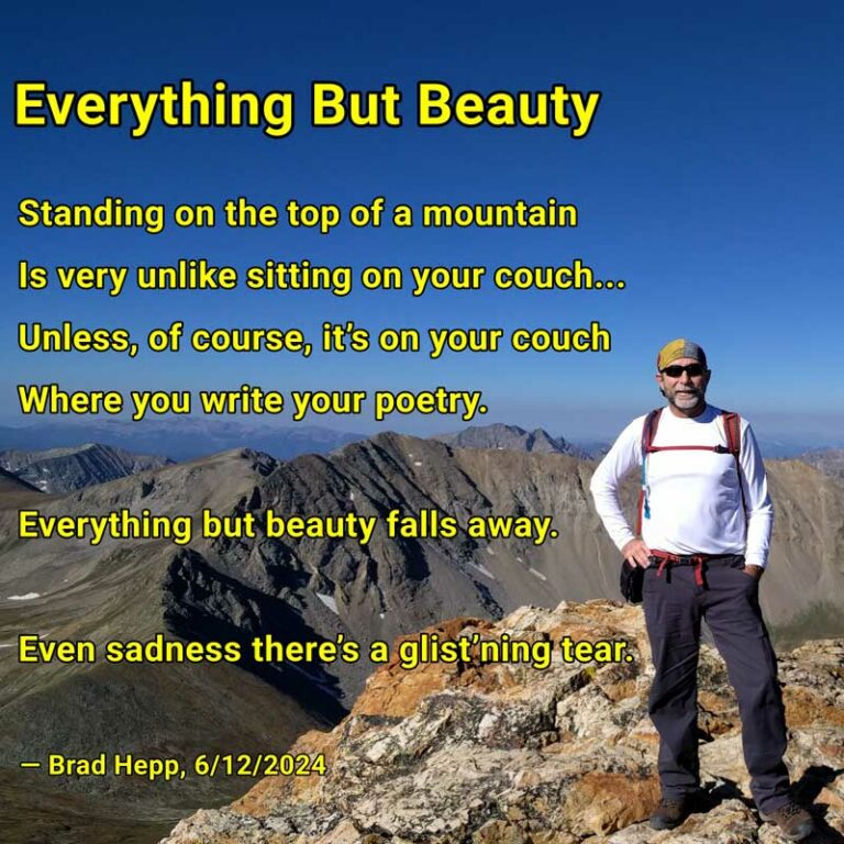Everything But Beauty - Brad Hepp's Miscellany