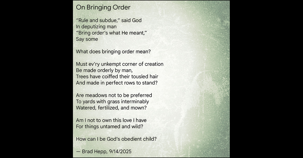 On Bringing Order - Brad Hepp's Miscellany