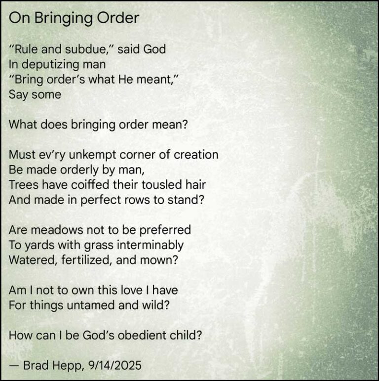 On Bringing Order - Brad Hepp's Miscellany